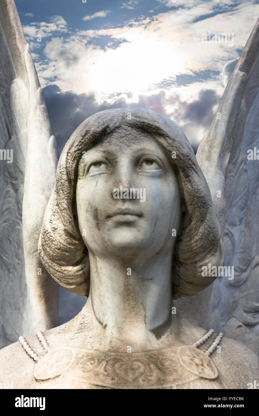 Close up of a statue of an angel looking at the sky with sunset ...