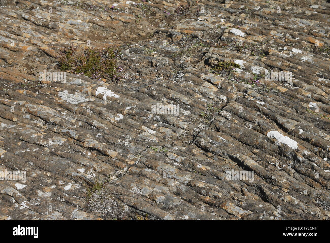 Lava rope hi-res stock photography and images - Alamy