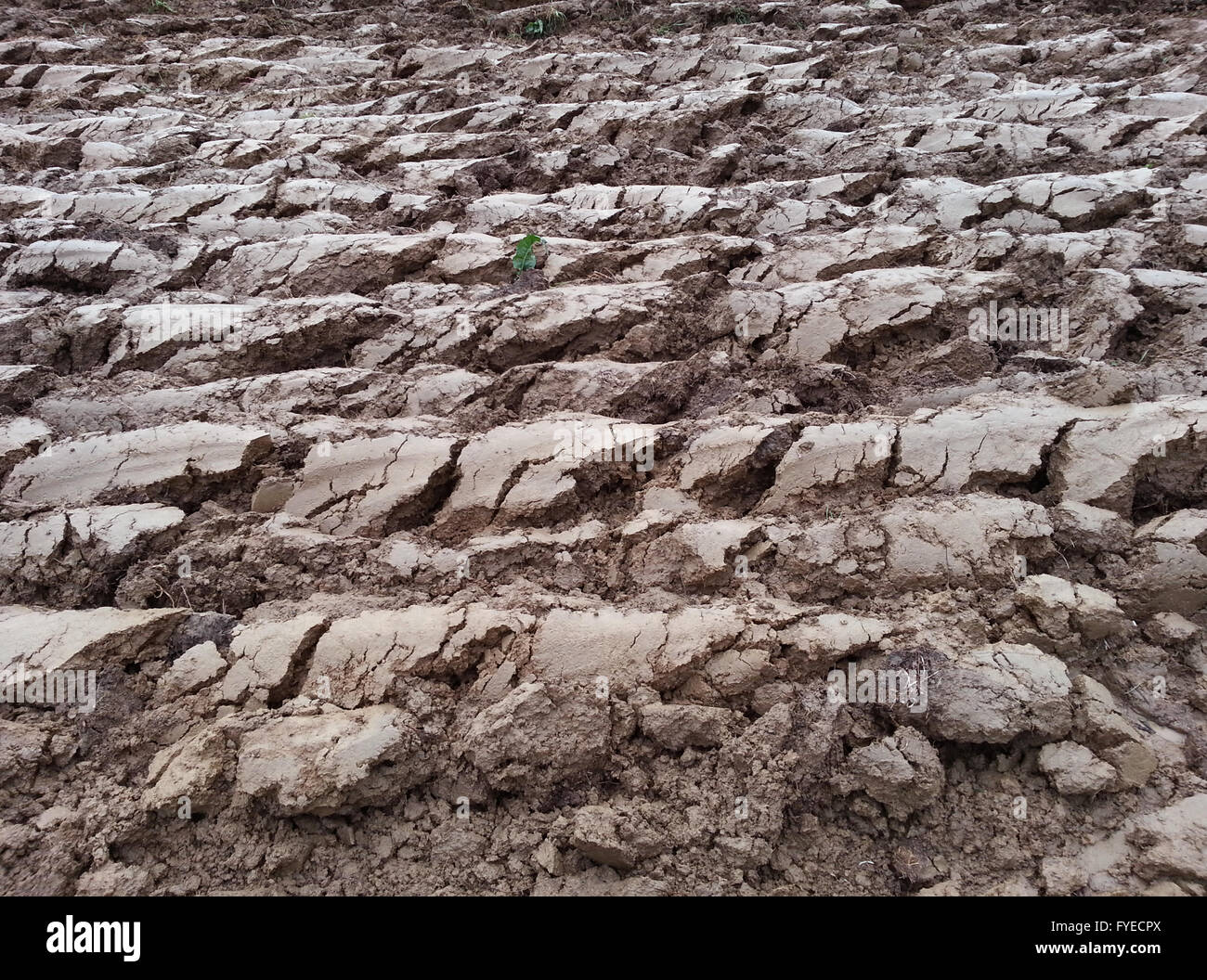 Loam soil hi-res stock photography and images - Alamy