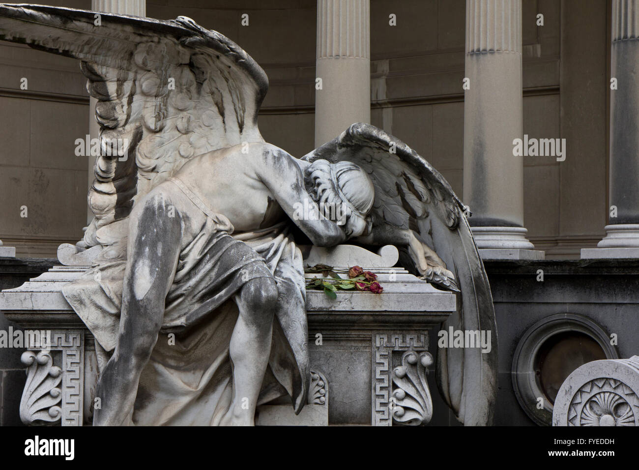 Statue of an angel with big wings lying on a tomb in a pantheon with ...