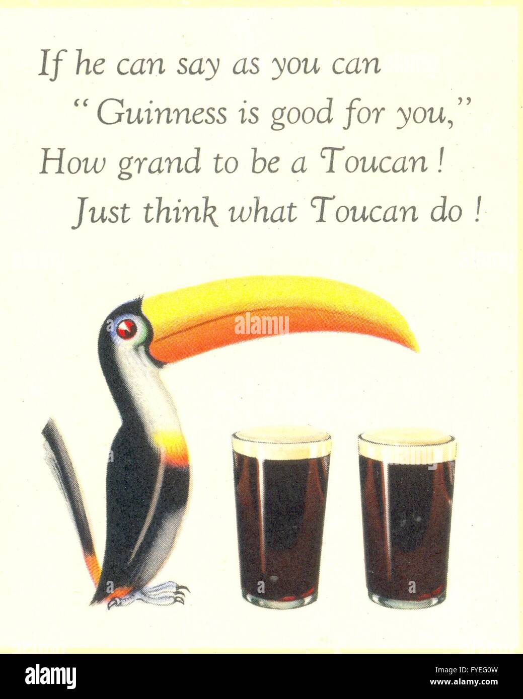 Guinness toucan advert hi-res stock photography and images - Alamy