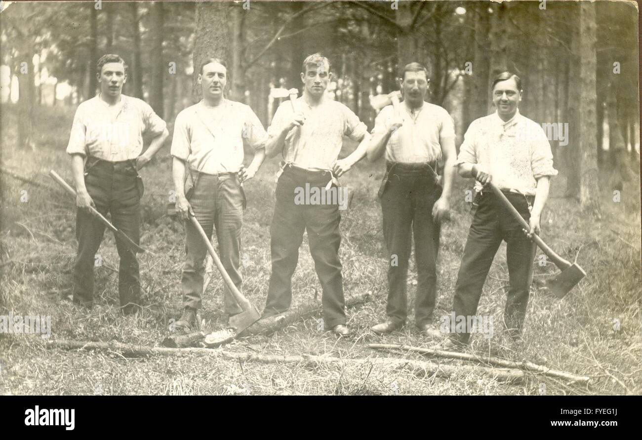 Photograph of foresters with tools Stock Photo - Alamy