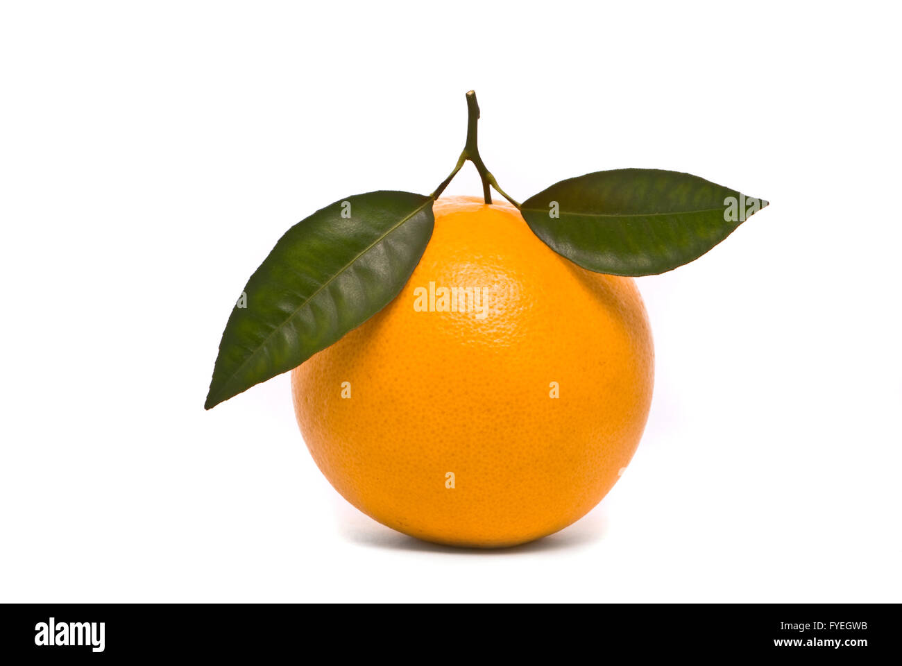 Orange studio hi-res stock photography and images - Alamy