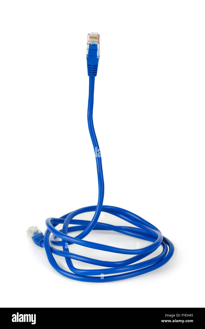 Computer cable like a snake - internet security concept Stock Photo - Alamy