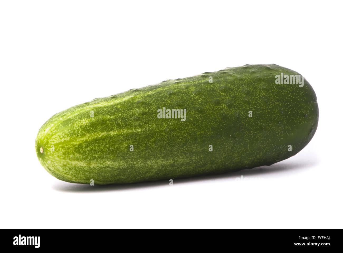 One fresh cucumber Stock Photo - Alamy
