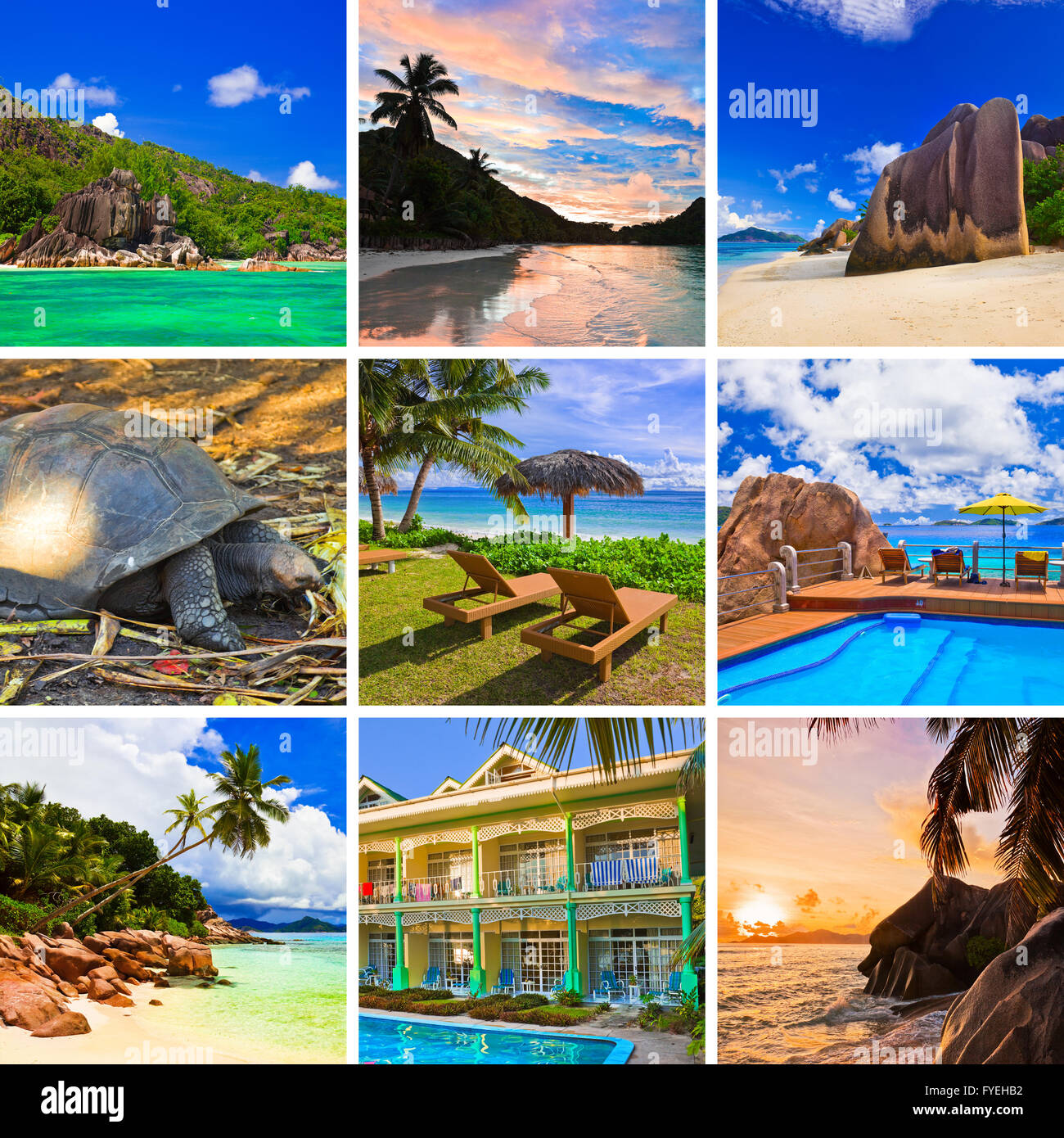 Collage of summer beach images - nature and travel background (my ...