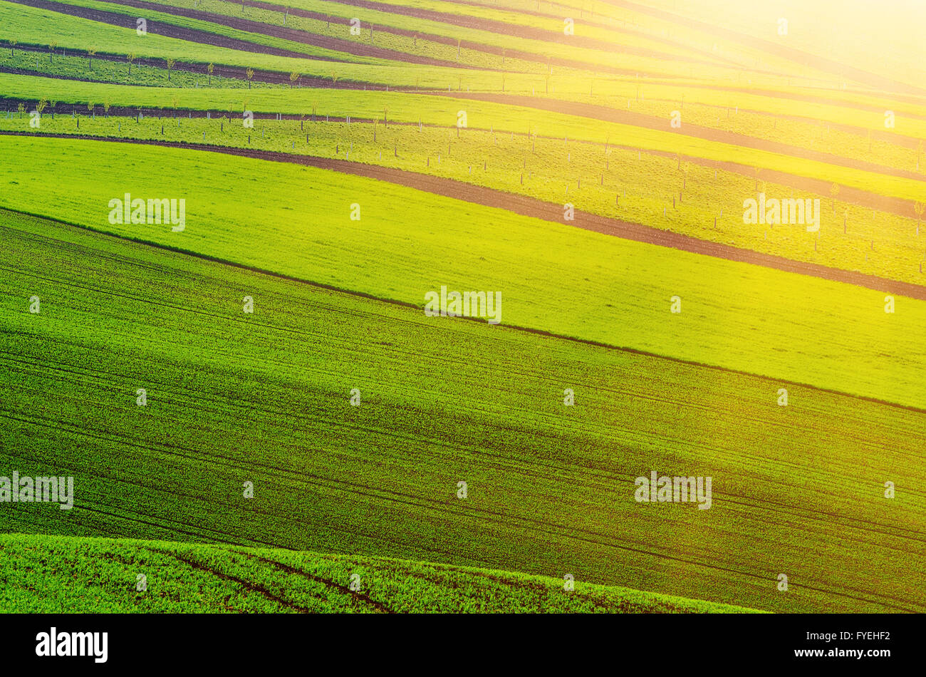 Rural spring landscape Stock Photo - Alamy