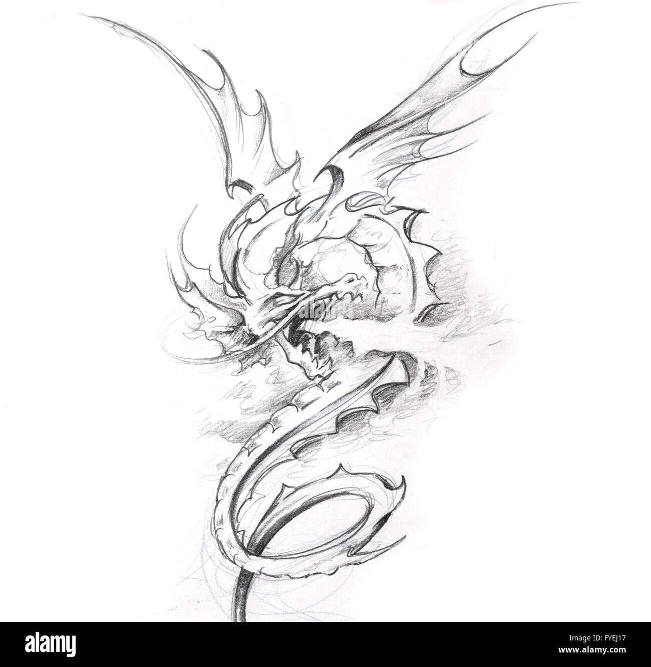 Medieval Dragon Drawings