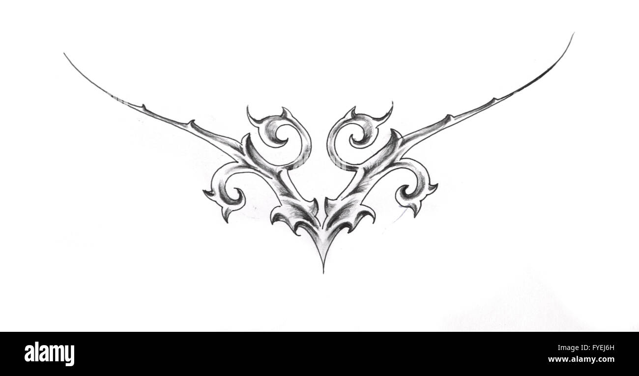 Arschgeweih hi-res stock photography and images - Alamy