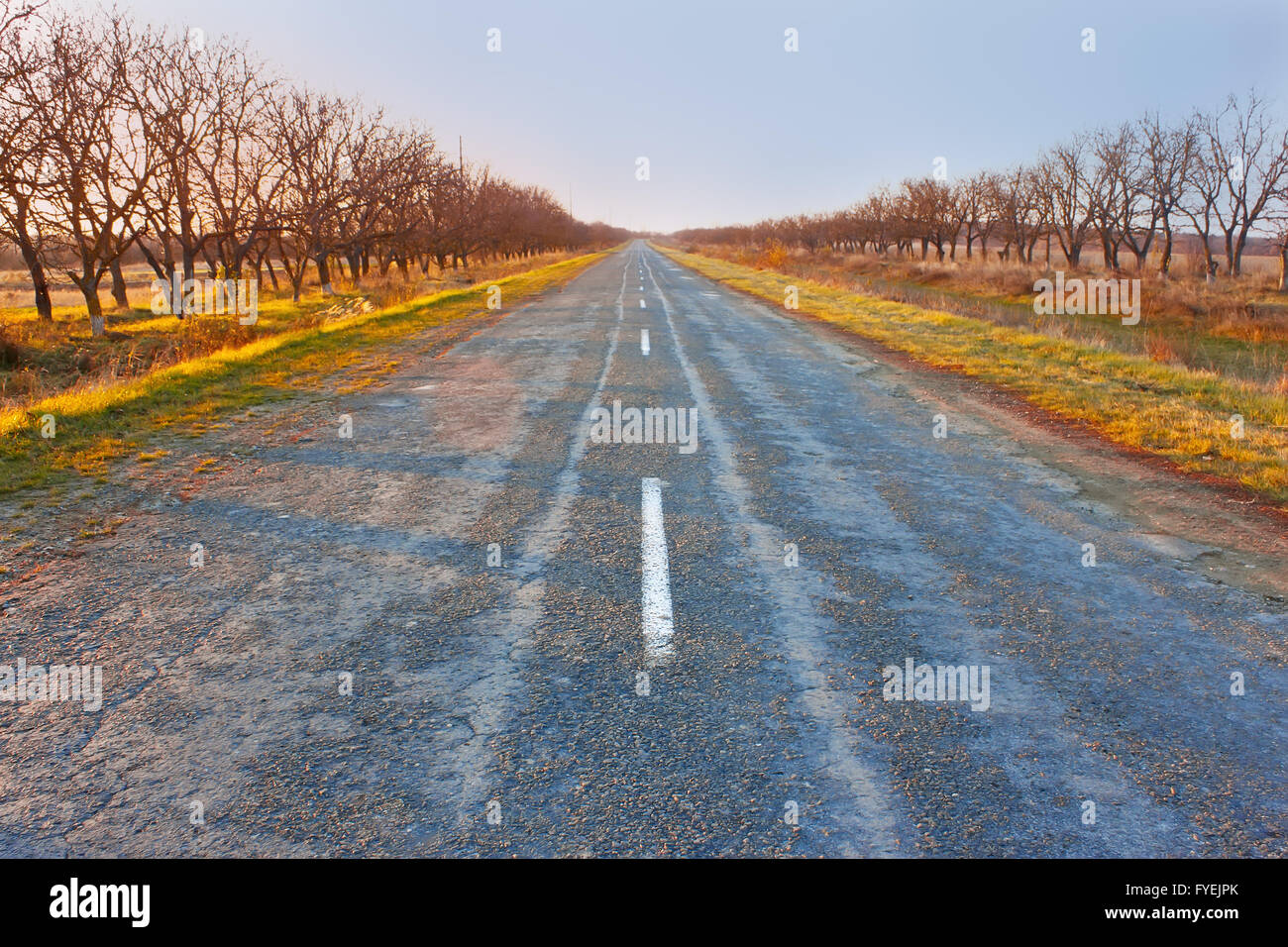 Green covered road hi-res stock photography and images - Alamy