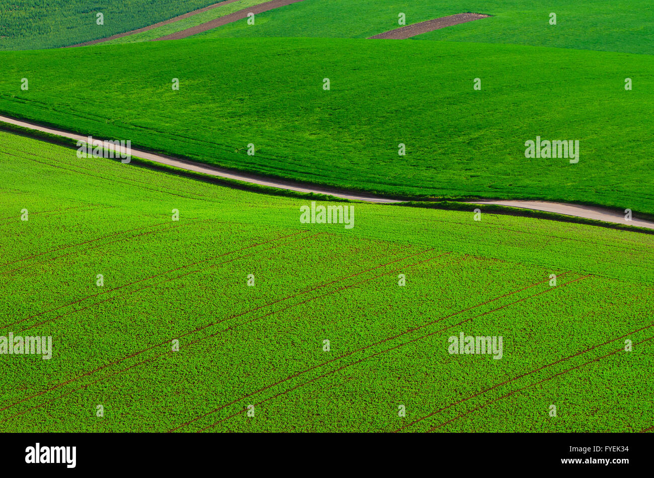 Rural landscape with road Stock Photo - Alamy