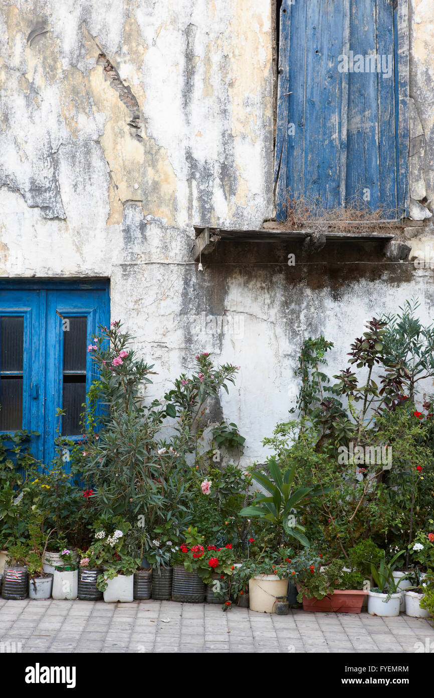 Antique facade with plants and flowers in Crete. Greece. Vertical Stock ...