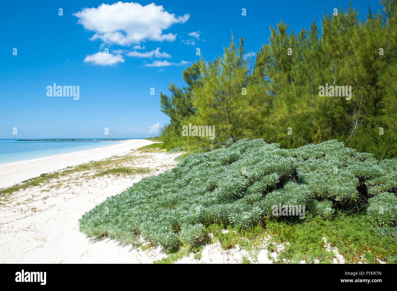 Colorful pristine Silver Point beach on Grand Bahama Island Stock Photo ...