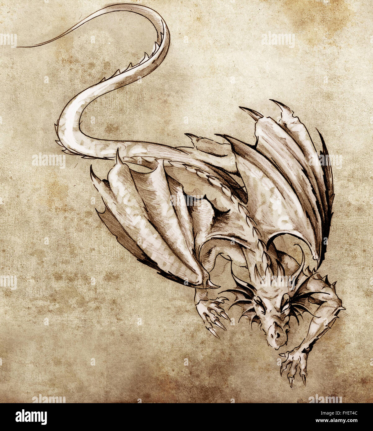 Sketch of tattoo art, modern dragon Stock Photo - Alamy