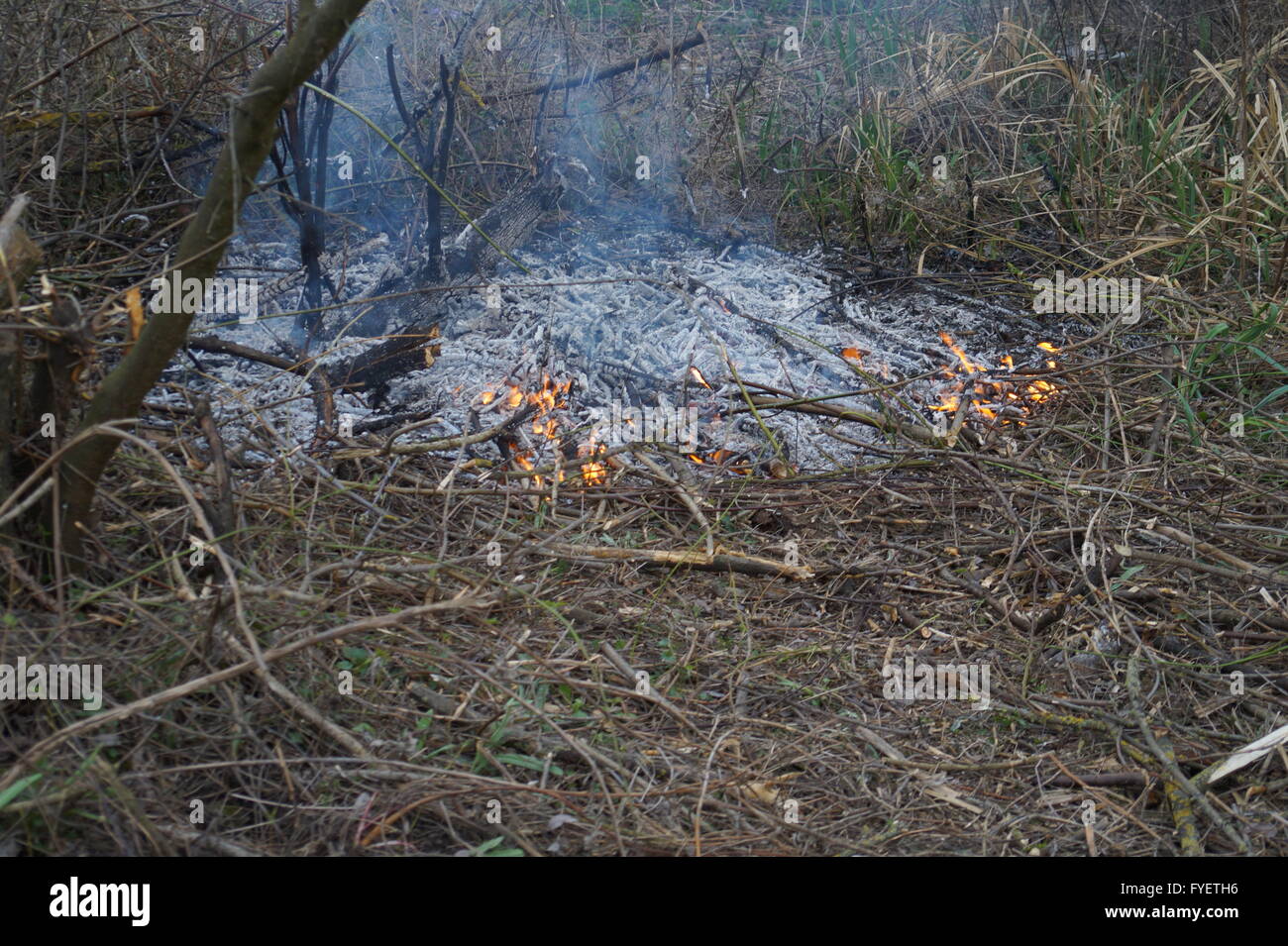 Fire flames background behavior devil witchcraft wild Stock Photo - Alamy