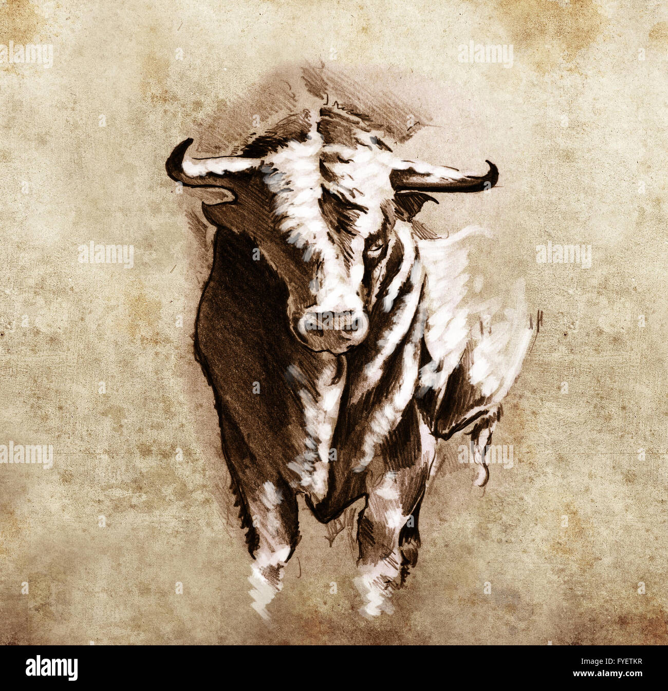 Sketch of tattoo art, spanish bull, dangerous bull with beaked horns ...