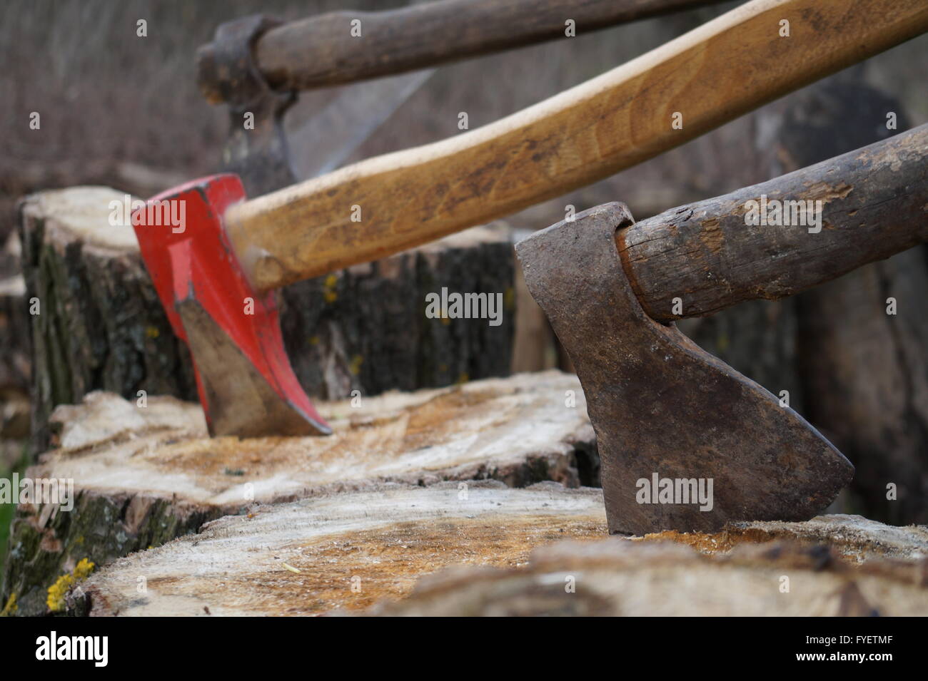 Execution axe block hi-res stock photography and images - Alamy