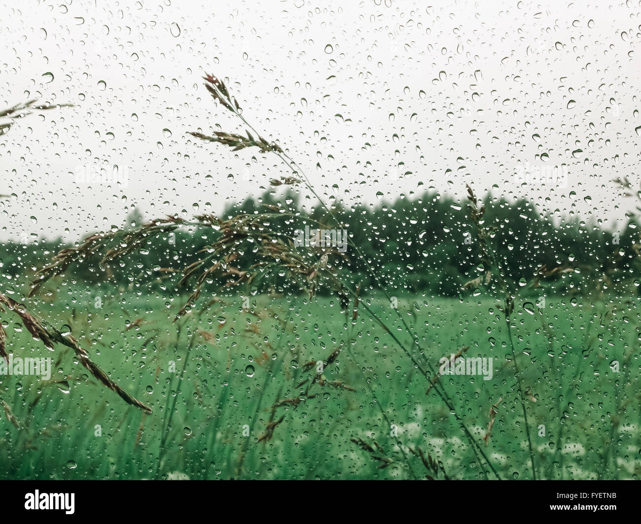 Raindrops against a beautiful green landscape Stock Photo - Alamy