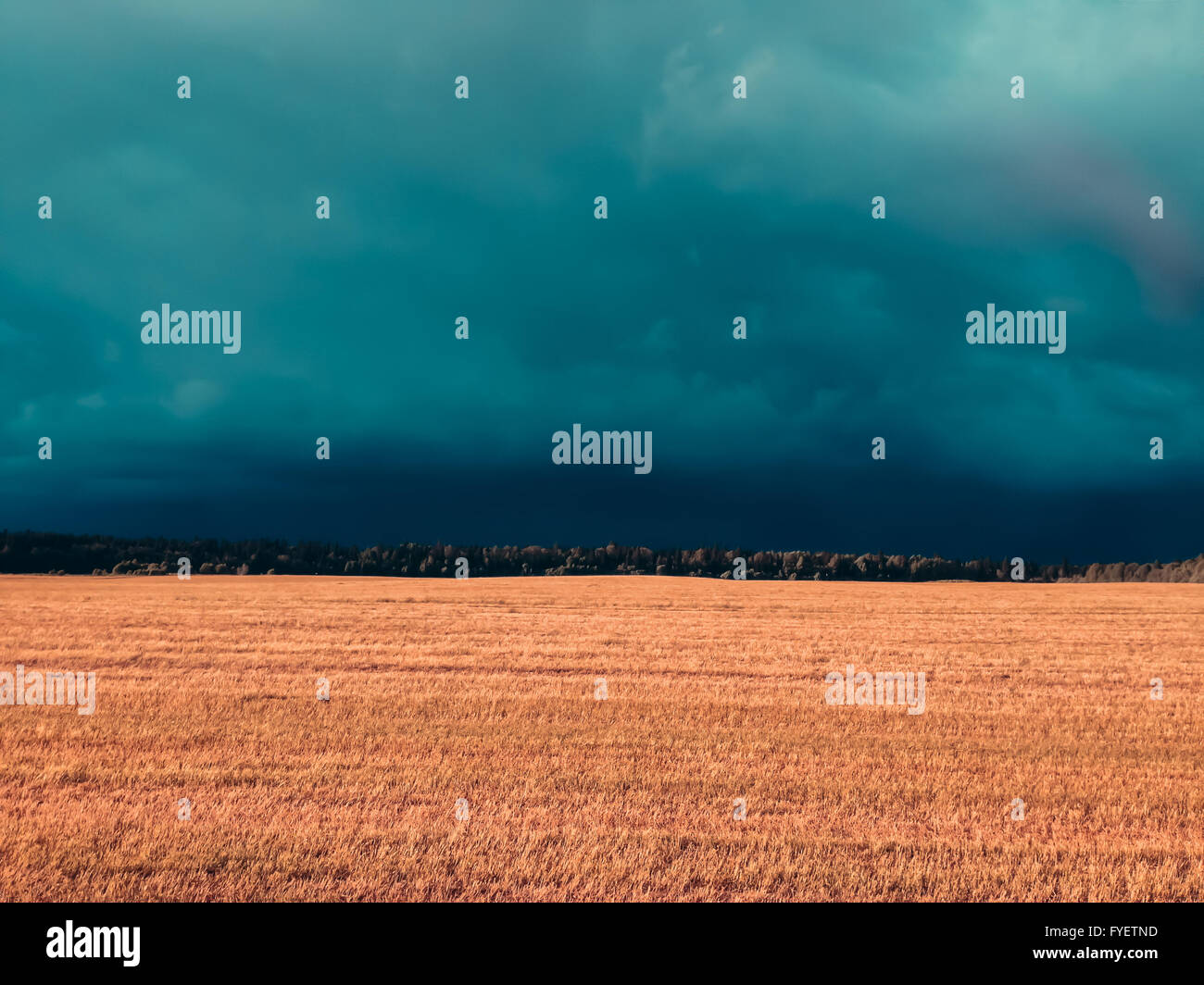 Beautiful natural landscape overlooking the horizon Stock Photo - Alamy