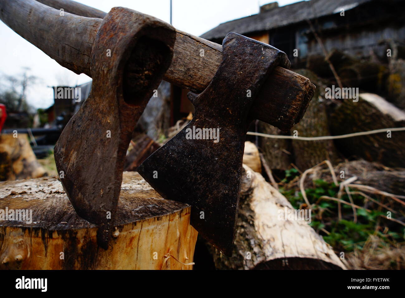 Axe stuck in tree outside wall heavy branches Stock Photo - Alamy