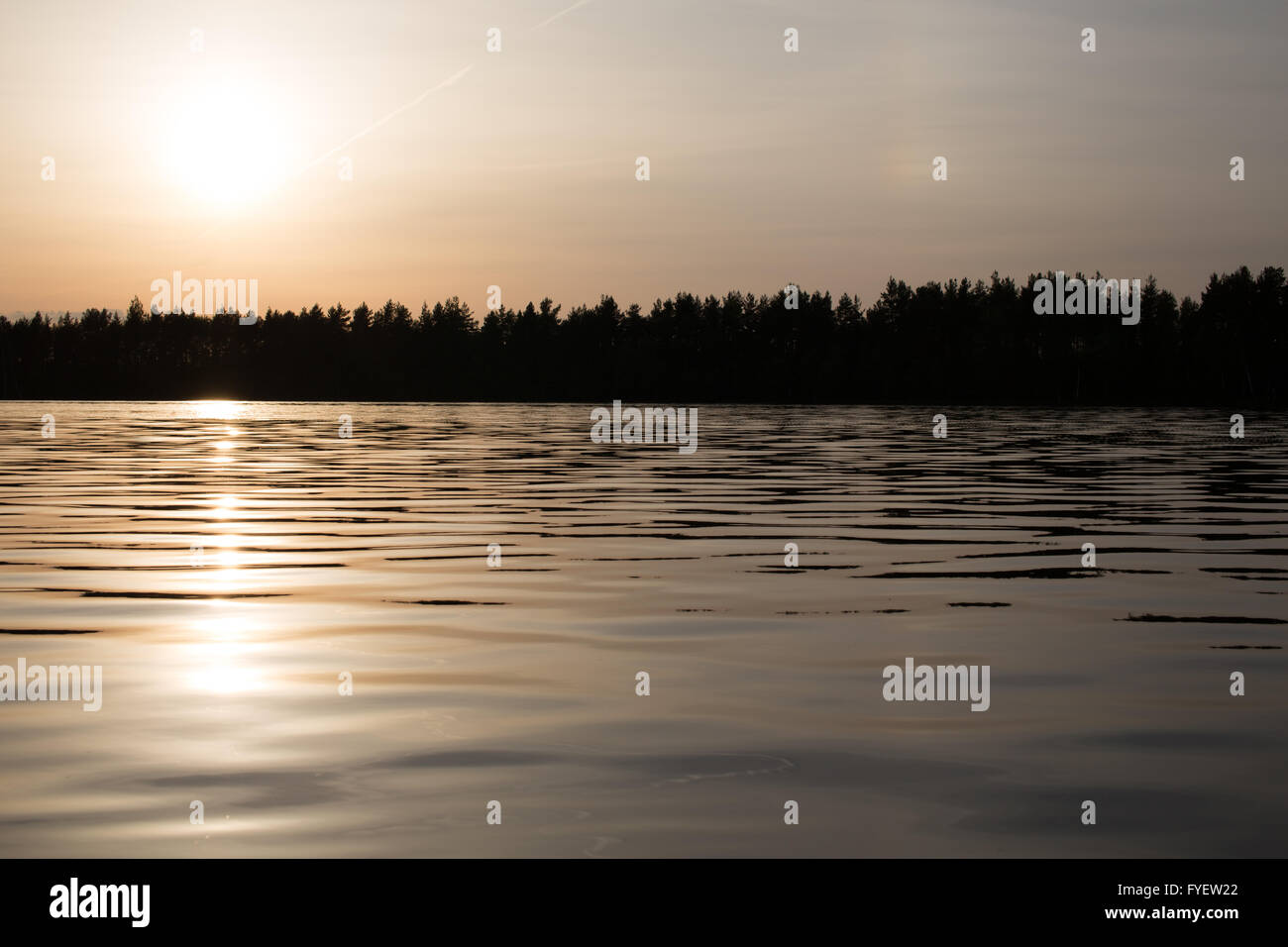 Landscape of forest and lake in the evening Stock Photo - Alamy