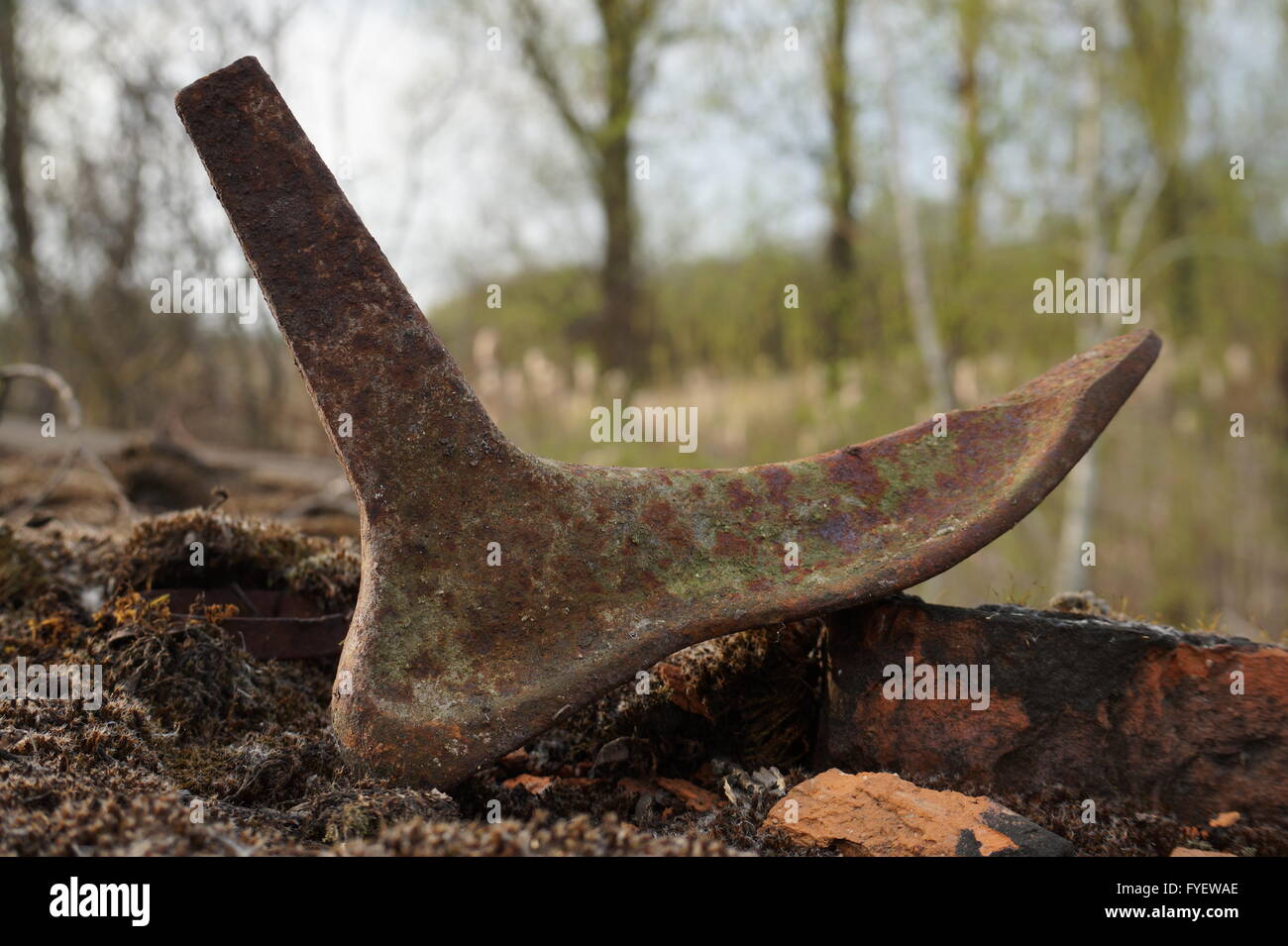 Vintage shoe making tools hi-res stock photography and images - Alamy