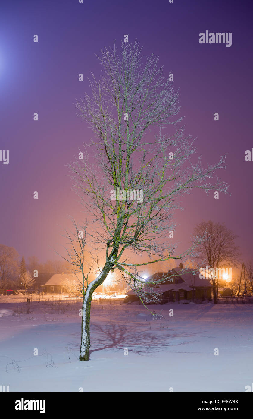 Cold and lonely hi-res stock photography and images - Alamy