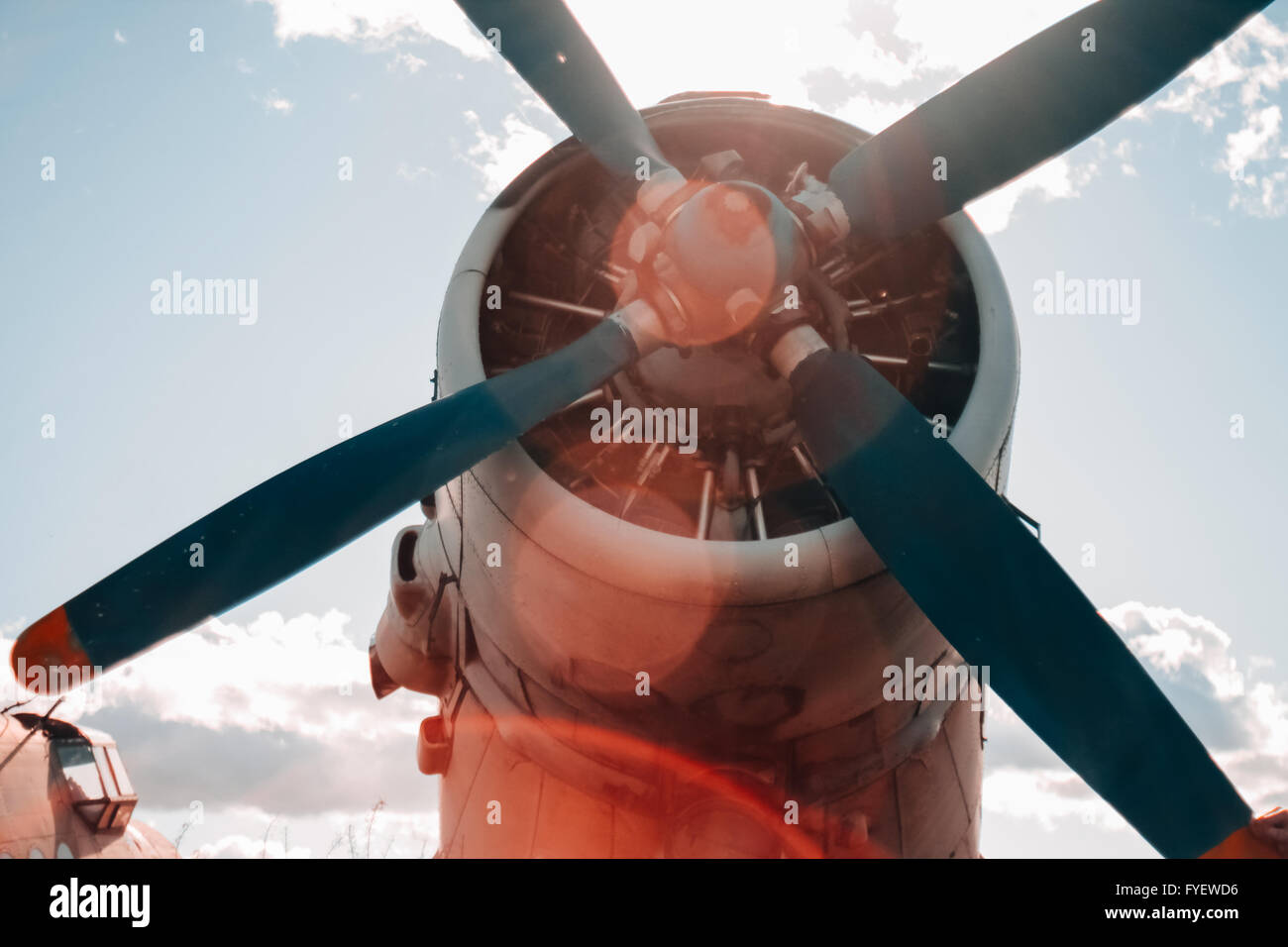 Bottom up photo hi-res stock photography and images - Alamy