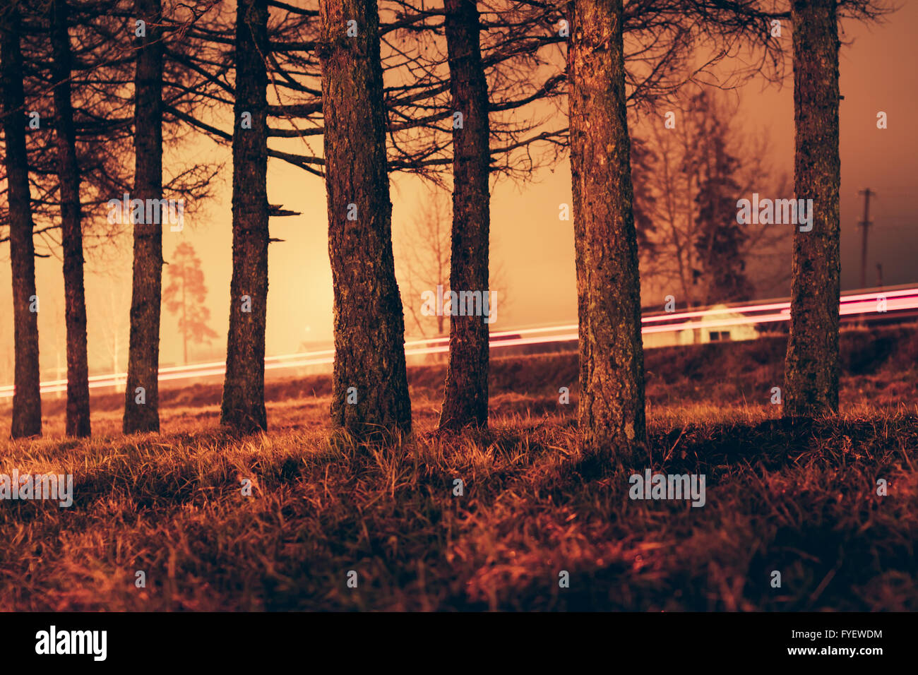 Light trails in nature hi-res stock photography and images - Alamy