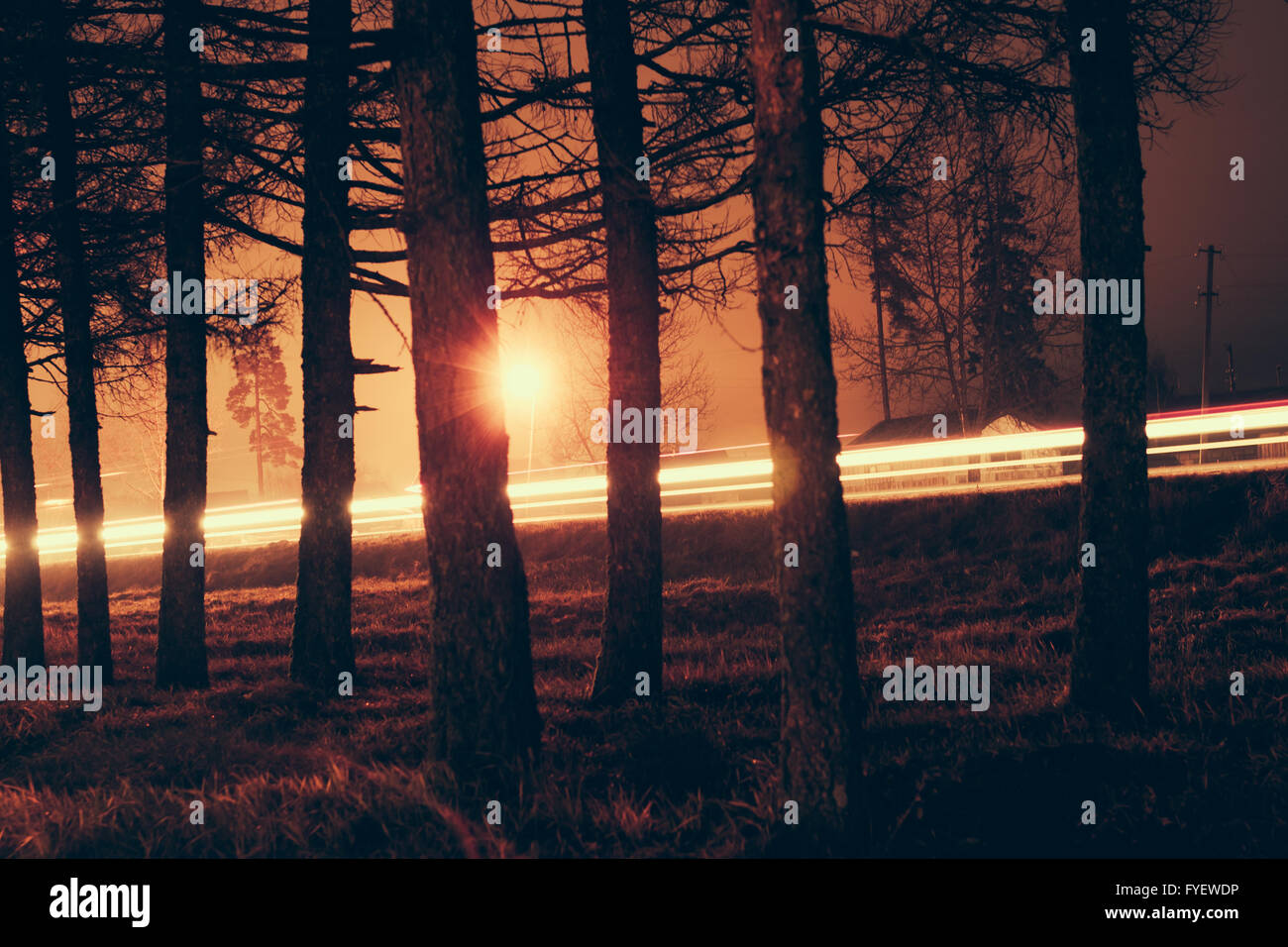 Light trails in nature hi-res stock photography and images - Alamy