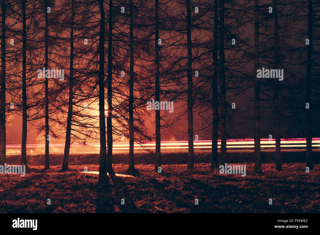 Light trails in nature hi-res stock photography and images - Alamy