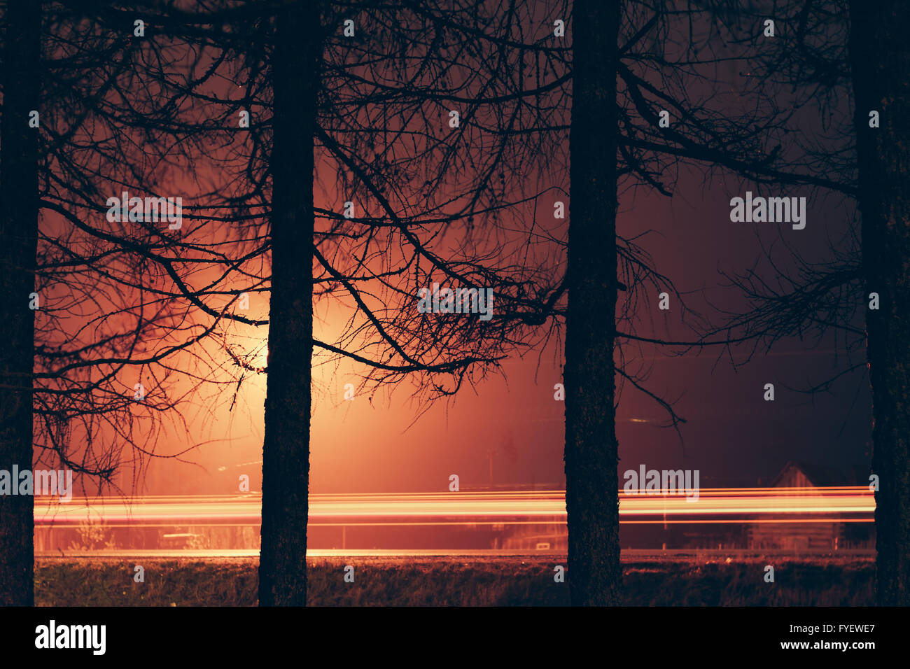 Light trails in nature hi-res stock photography and images - Alamy