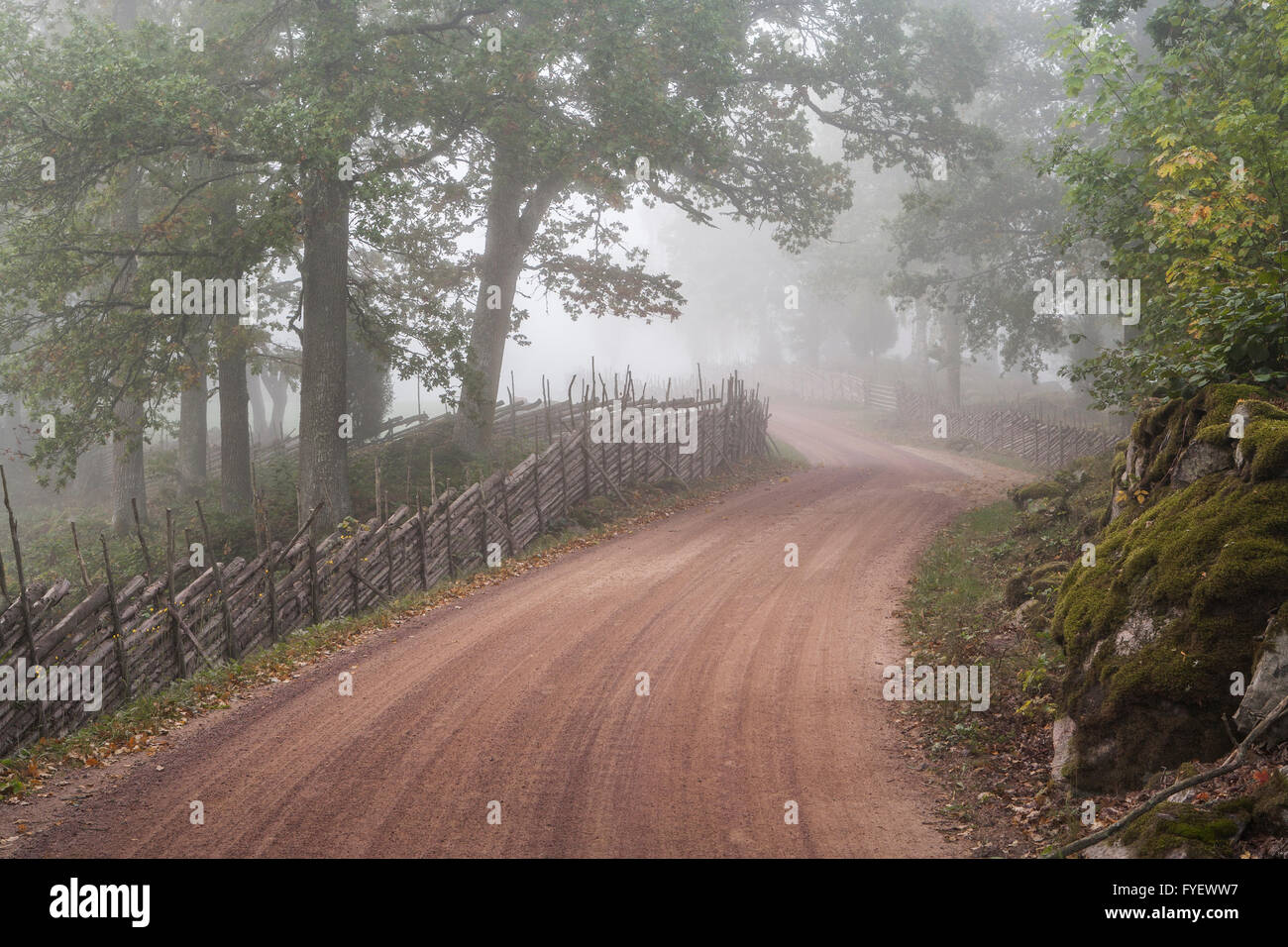 Country road with a traditional Swedish roundpole fence on a misty ...