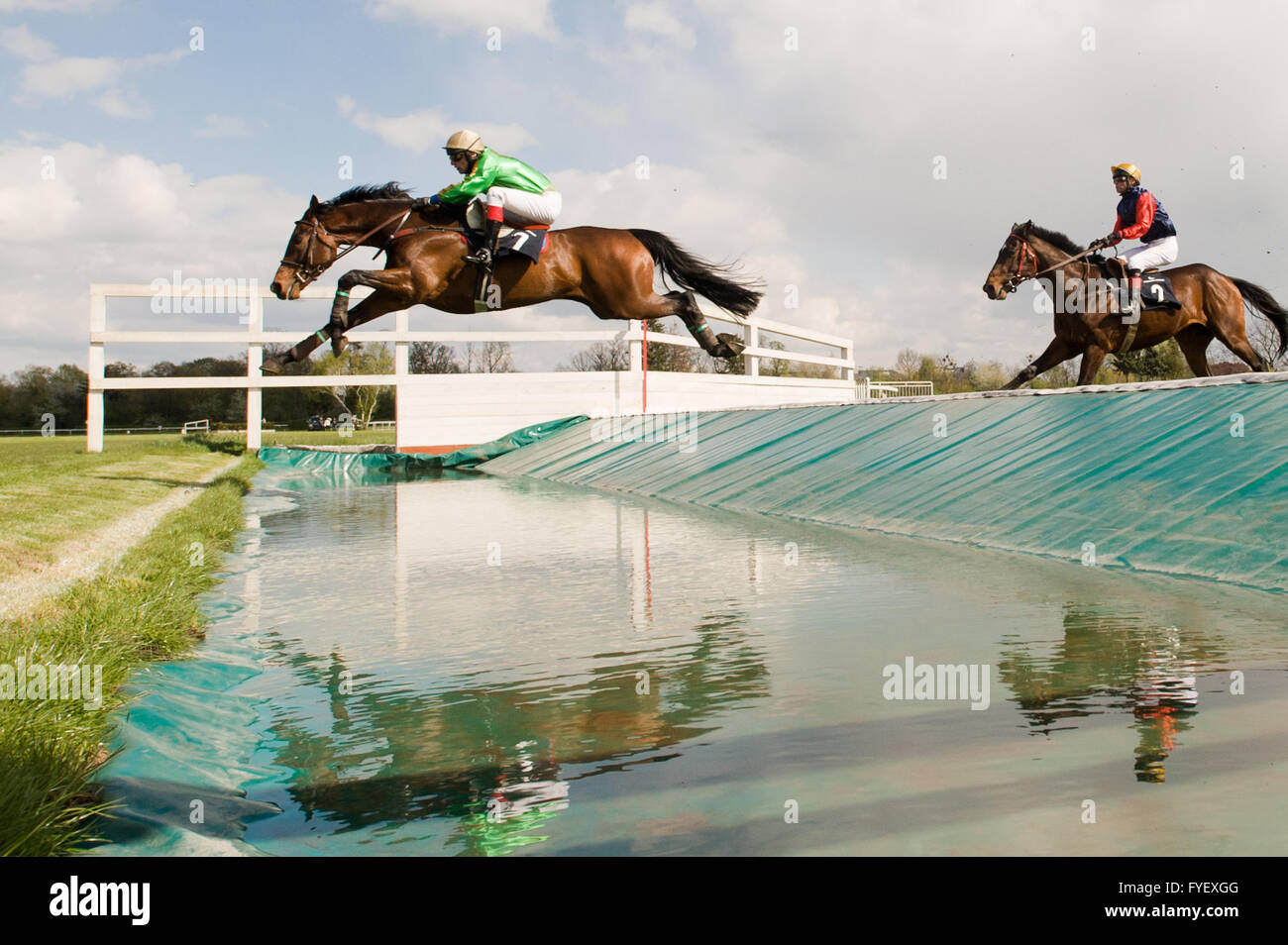 Horse jumps over the water ditch hi-res stock photography and images ...