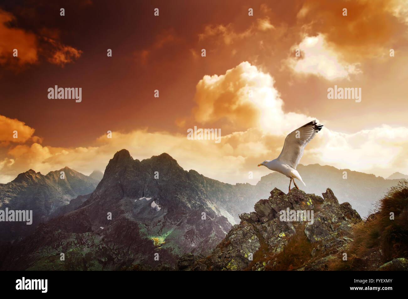 Mountains landscape sunset hi-res stock photography and images - Alamy