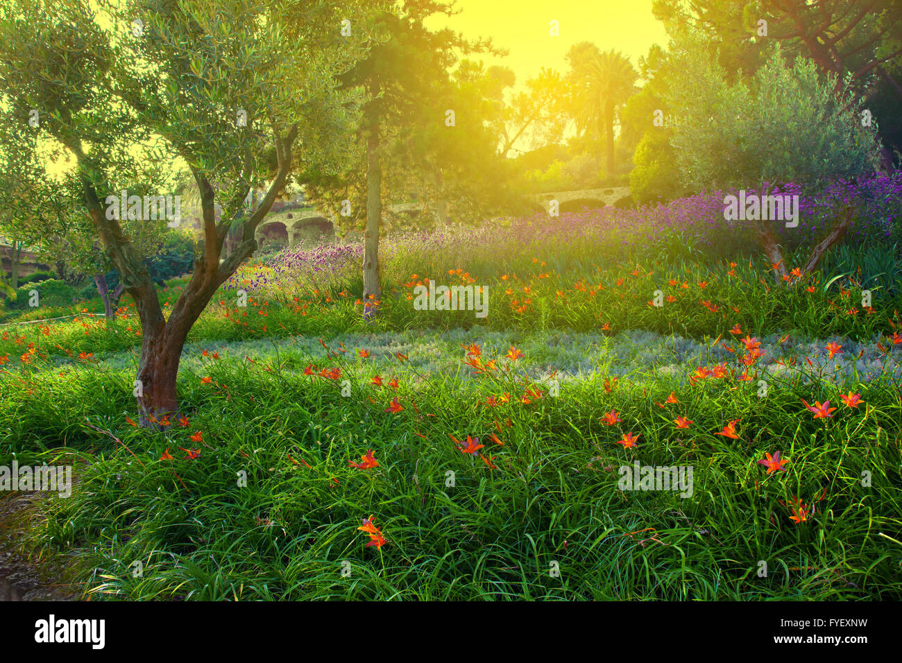 Colorful park with flowers Stock Photo - Alamy