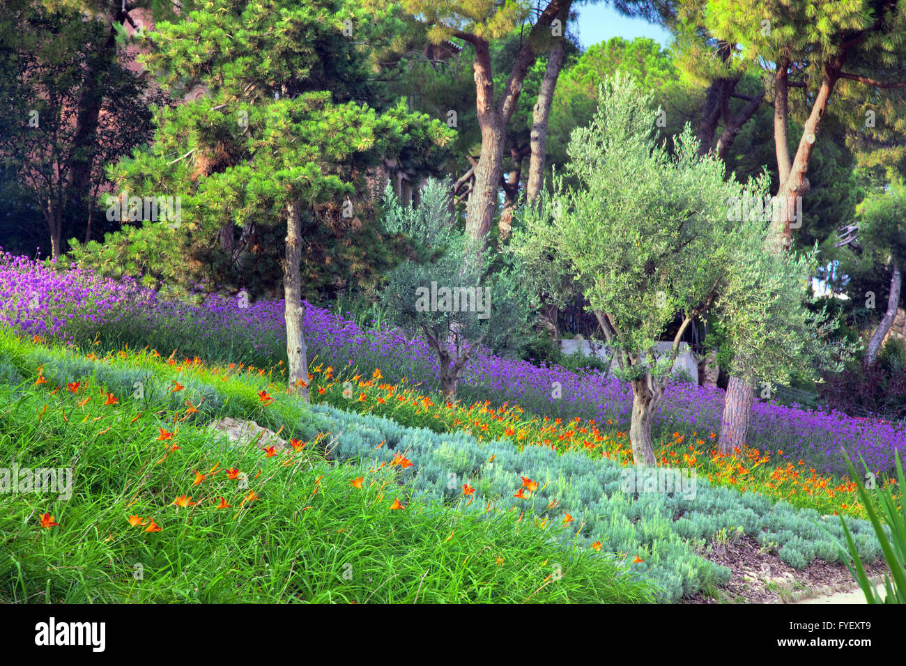 Colorful park with flowers Stock Photo - Alamy