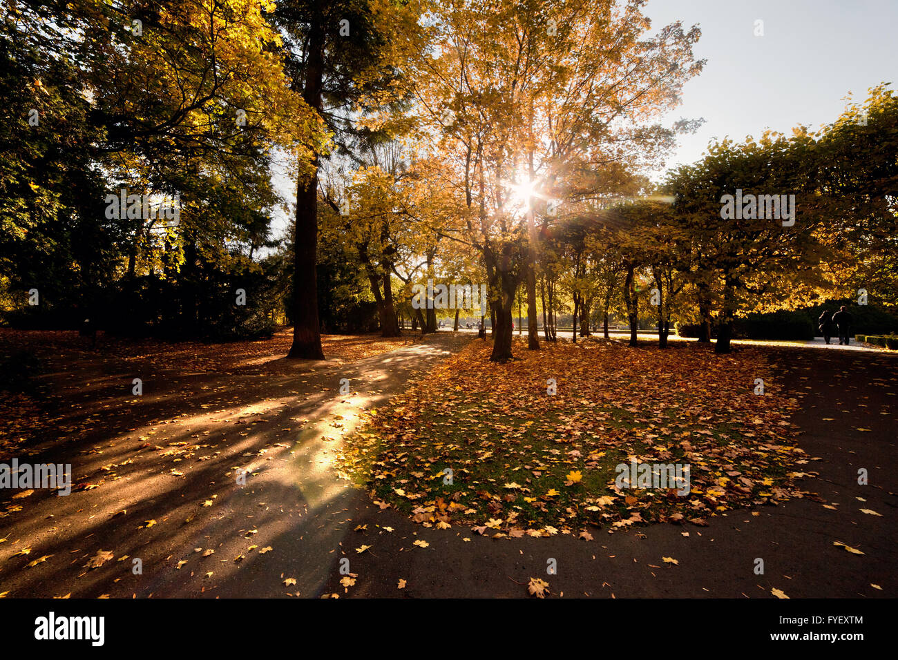 Falling bush hi-res stock photography and images - Alamy