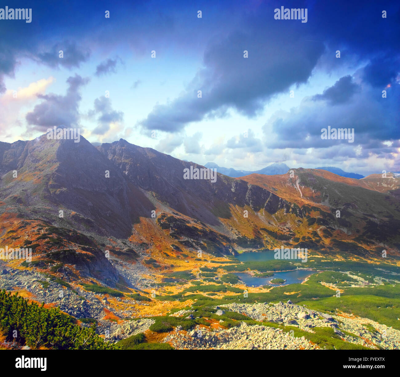 Tatra mountains trees hi-res stock photography and images - Alamy