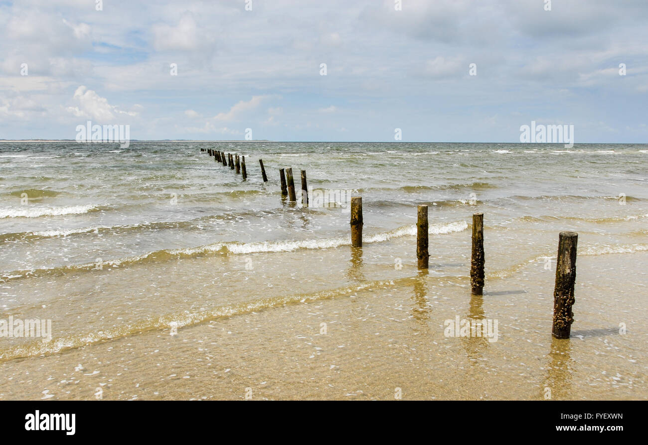 Row of piles in sand flat at the beach of Rømø, Denmark Stock Photo - Alamy