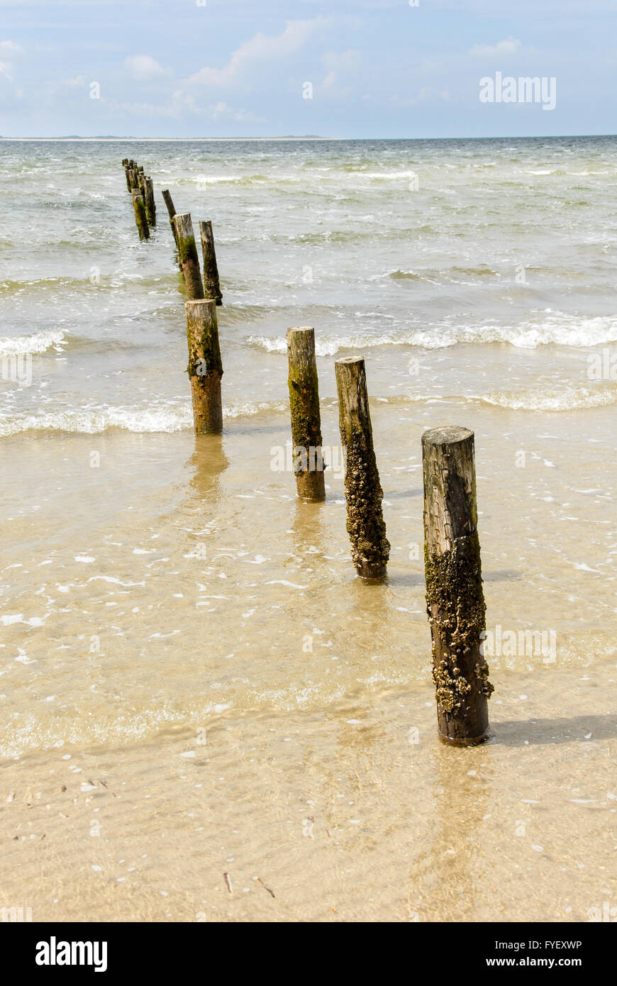 Row of piles in sand flat at the beach of Rømø, Denmark Stock Photo - Alamy