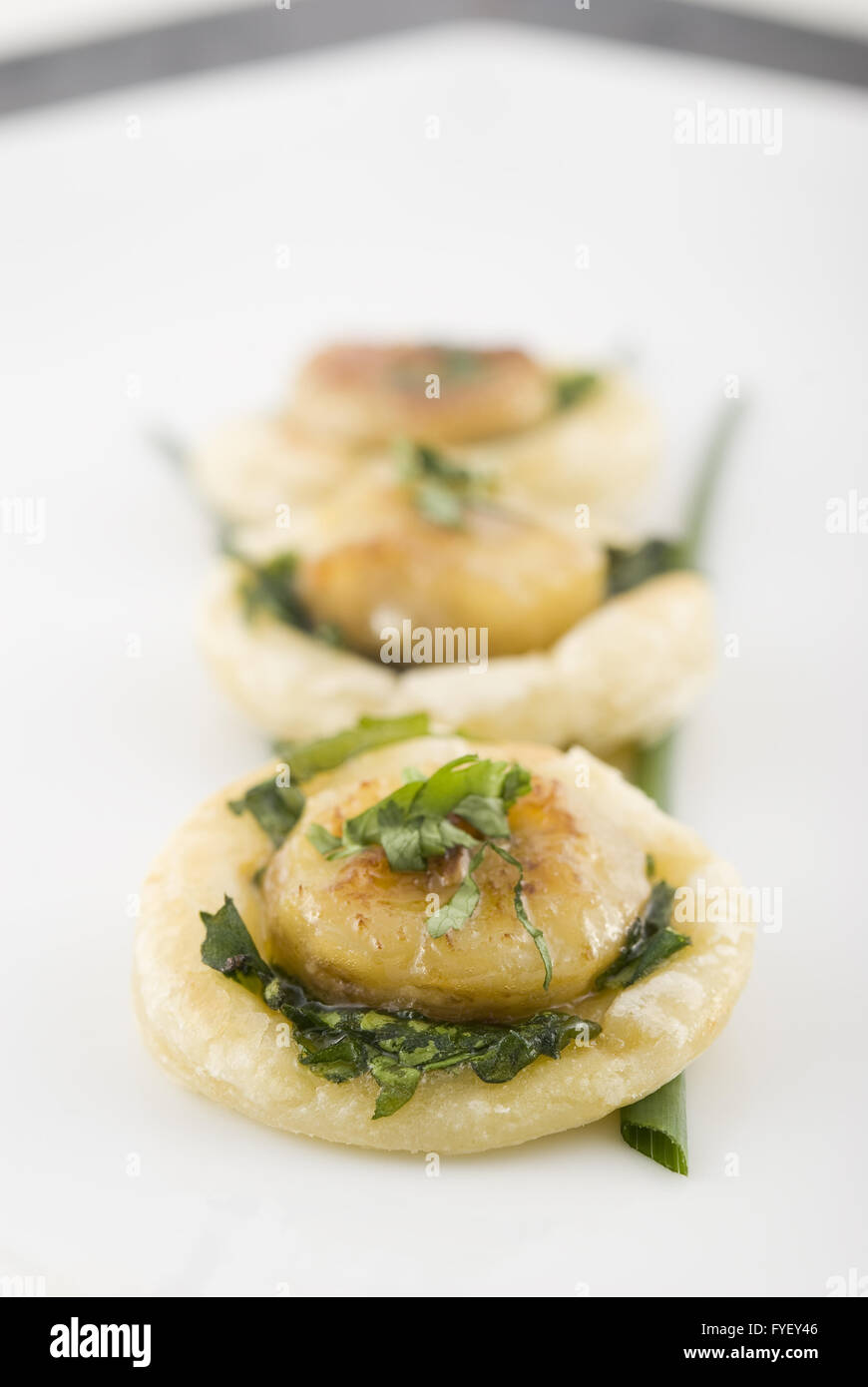 Scallop seafood appetizer hi-res stock photography and images - Alamy