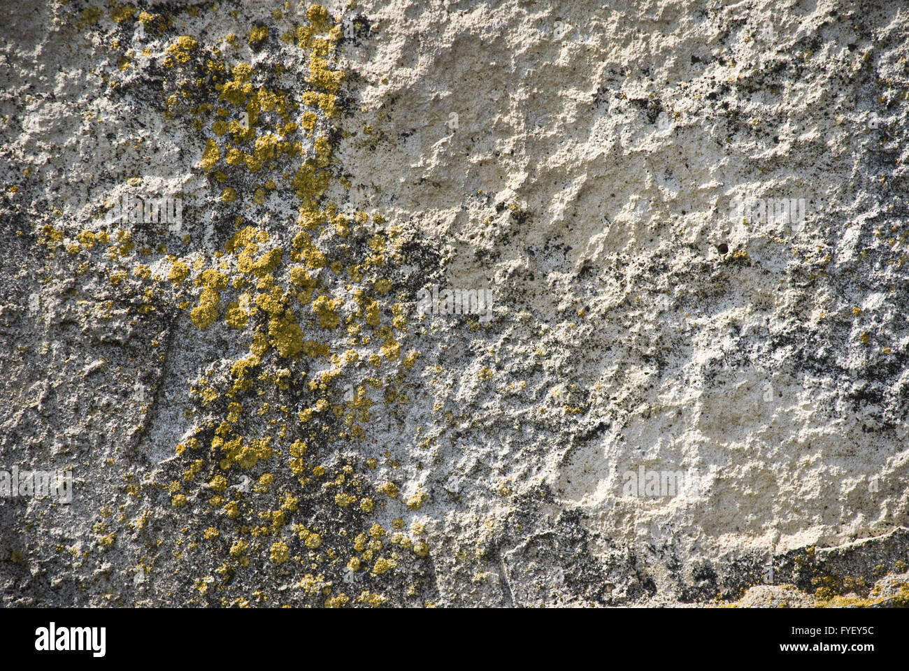 Old wall background Stock Photo - Alamy