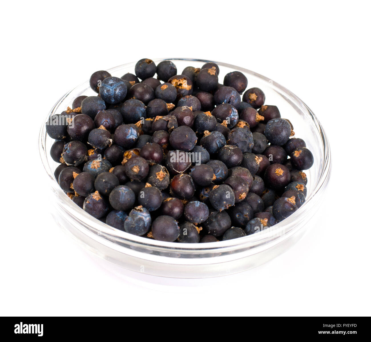 Dried Fruits of Juniper, Seasoning Isolated on White Background Stock ...