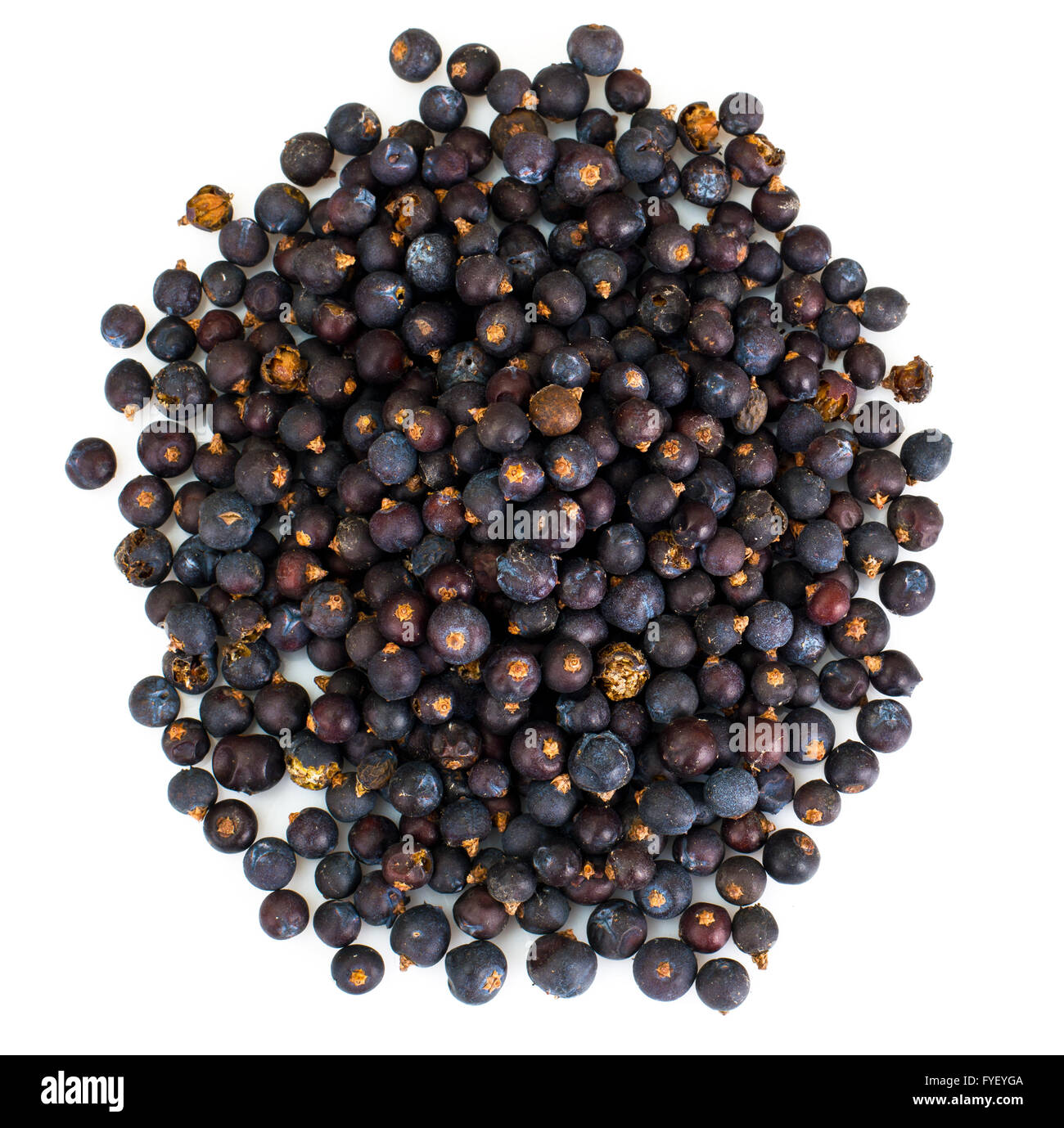 Dried Fruits of Juniper, Seasoning Isolated on White Background Stock ...
