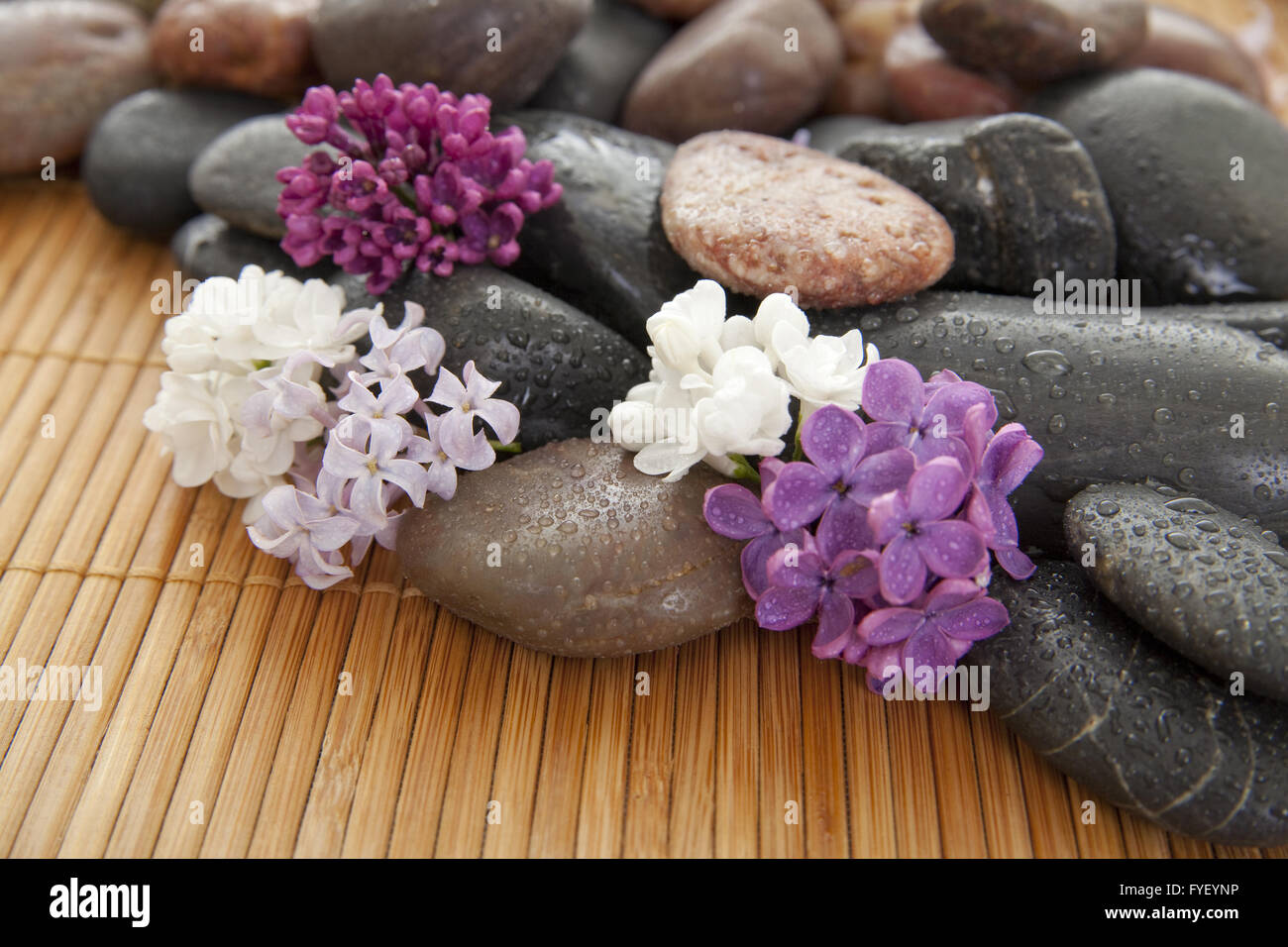 Pile Of Flowers High Resolution Stock Photography and Images - Alamy
