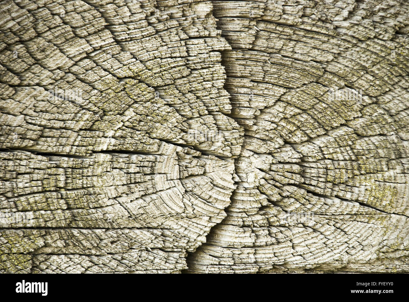 Old wood texture, hi quality background Stock Photo - Alamy