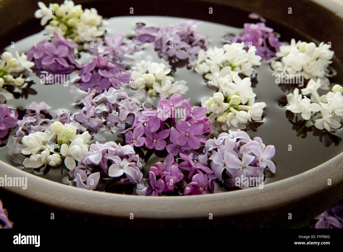 Relaxed floating hi-res stock photography and images - Alamy