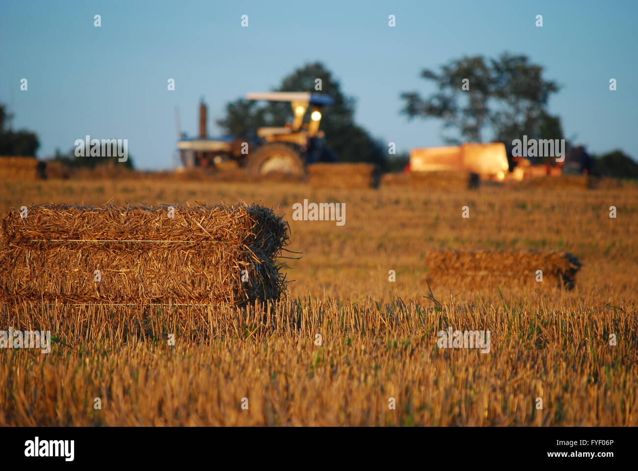 Working the fields Stock Photo - Alamy
