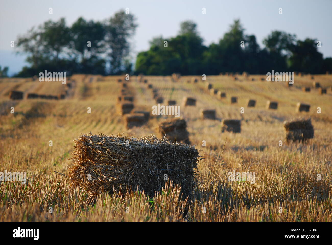 Lan bale hi-res stock photography and images - Alamy